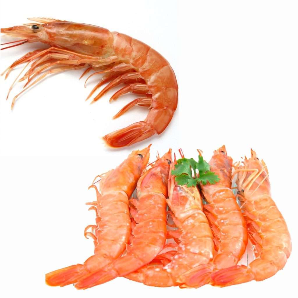 Gambón salvaje Nº2 Abordo - Congelados Ecofrío